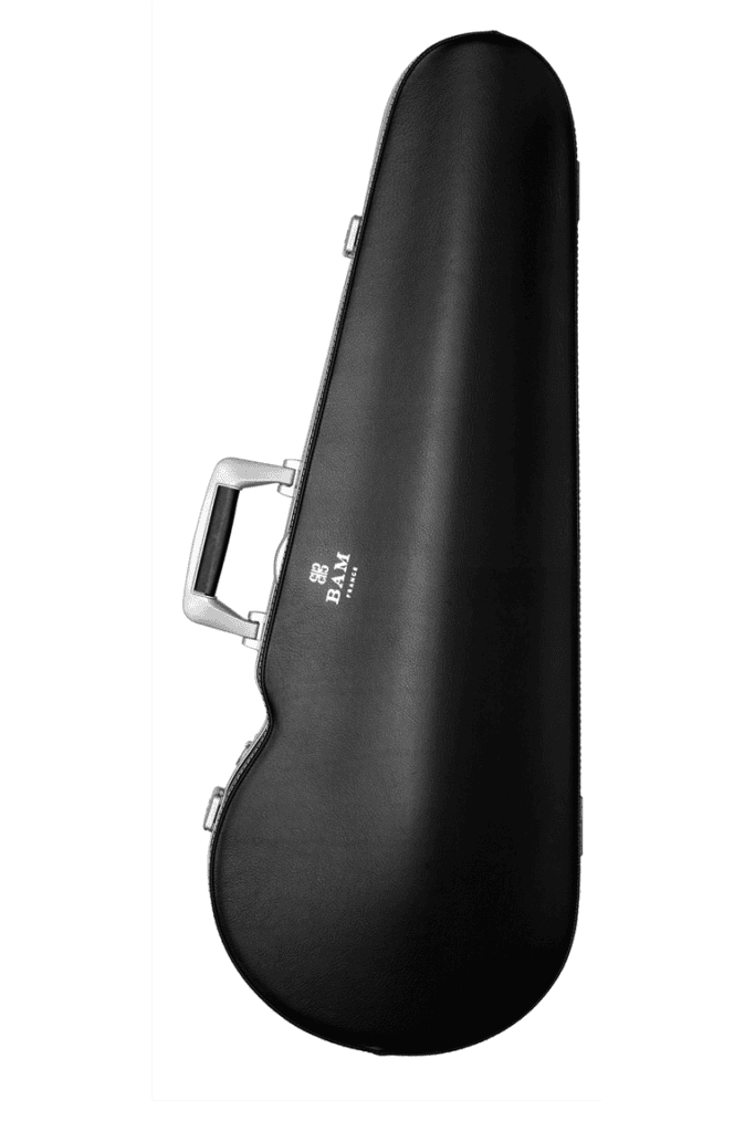 Bam France musical instrument case - BAM Cases