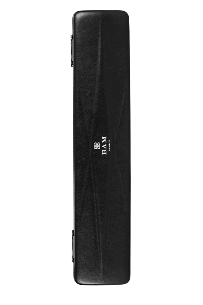 Bam France musical instrument case - BAM Cases