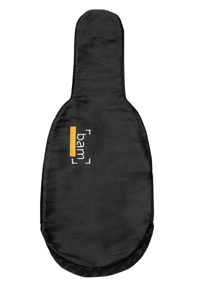 VIOLA musical instrument case - BAM Cases